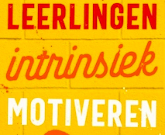 Nivoz | Een blinde vlek: over intrinsieke motivatie Nivoz | Een blinde vlek: over intrinsieke motivatie